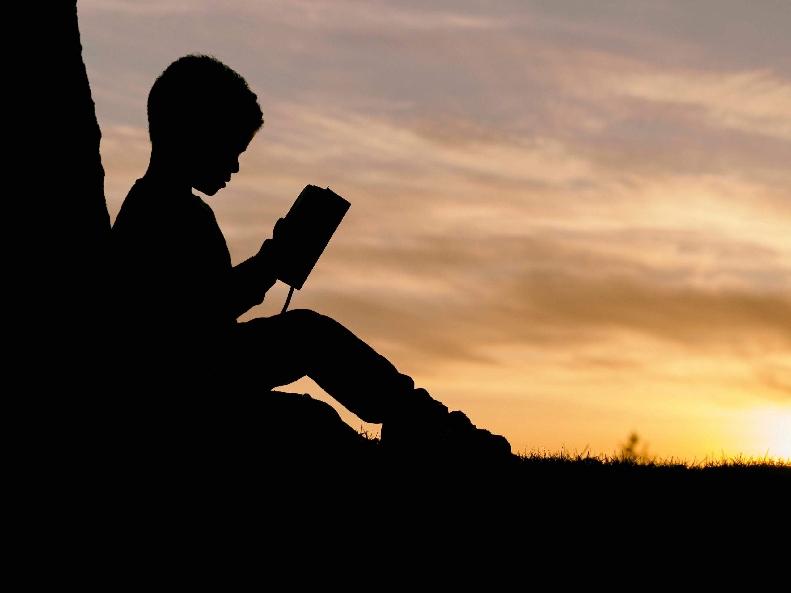 Los nuevos lectores: la formación del lector literario | Cubaliteraria